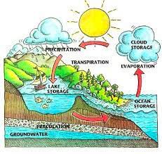 Interactive image- Water cycle | Genially