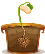 NUMBER THE IMAGES | Genially