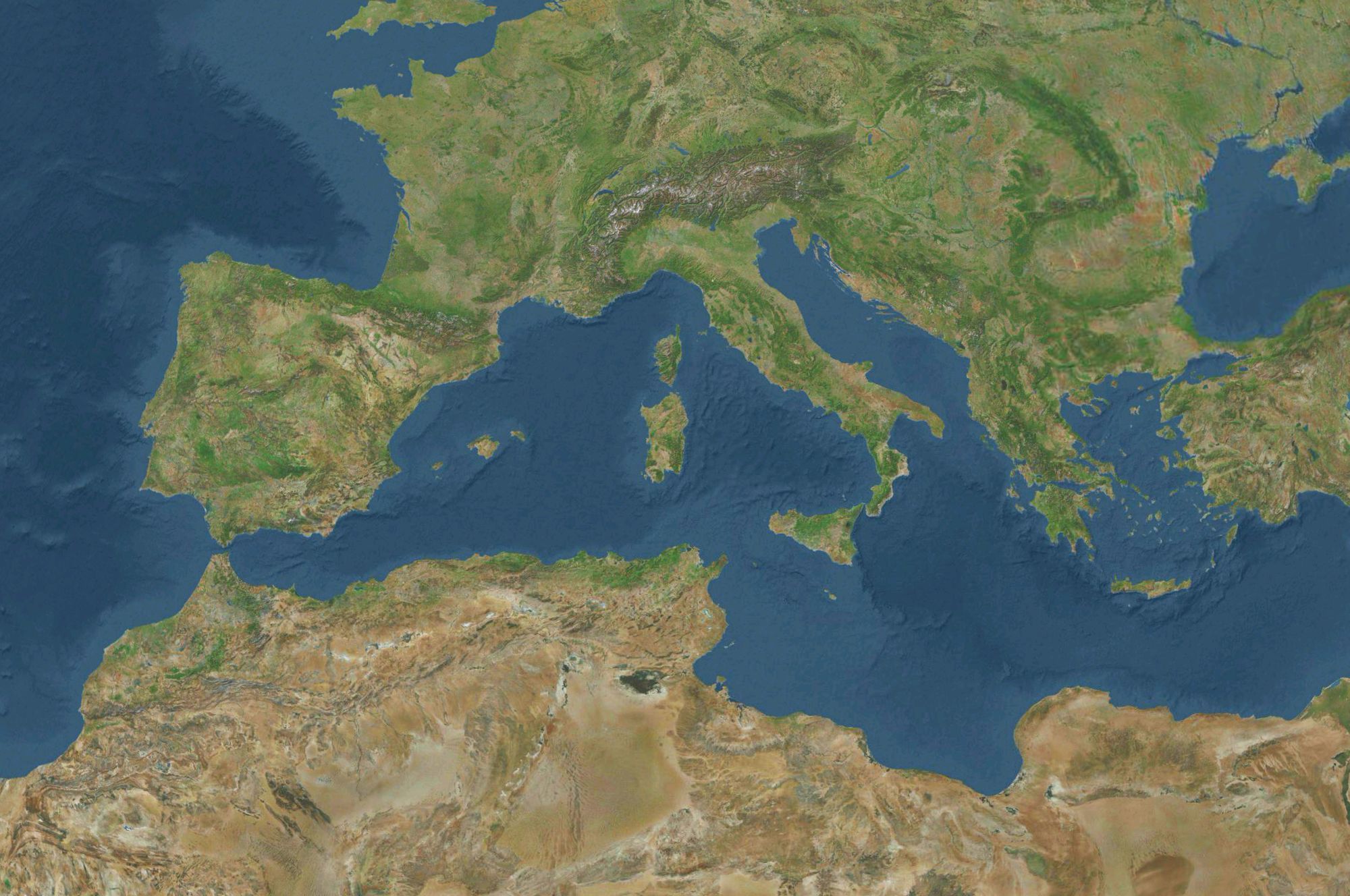 UDA 3 “ alla scoperta” Salvia e Gar. Ro | Genially