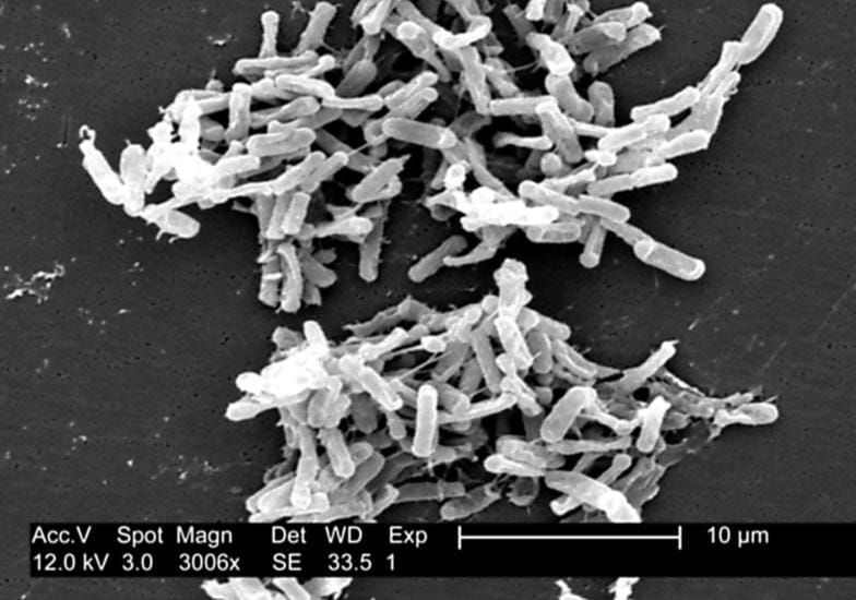 GUÍA MICROSITE NO CODE | Genially