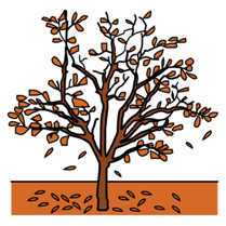 las estaciones | Genially