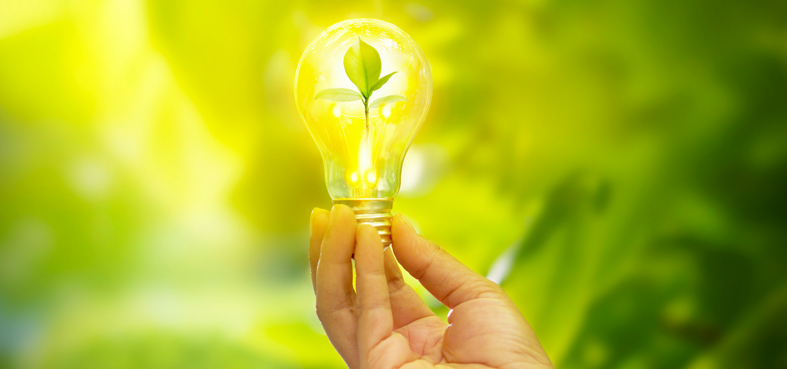 7. Introduction aux écogestes définition