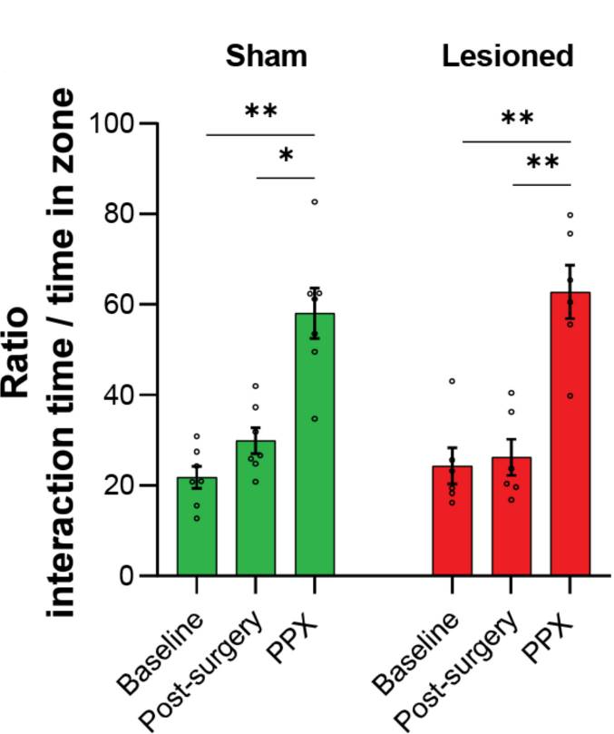 Image interactive | Genially