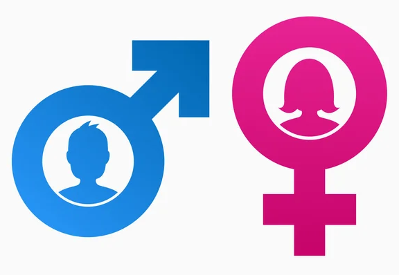 VITAL FUNCTIONS | Genially