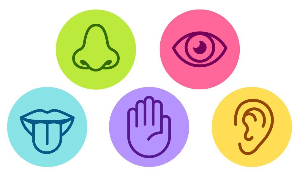 VITAL FUNCTIONS | Genially