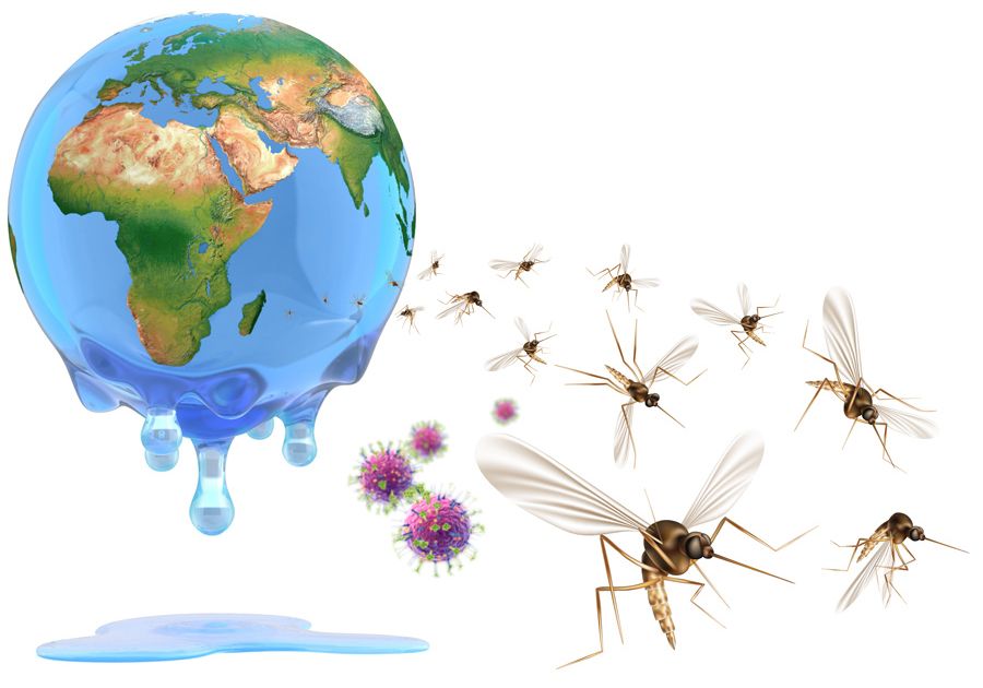 Vector-Borne Diseases | Genially