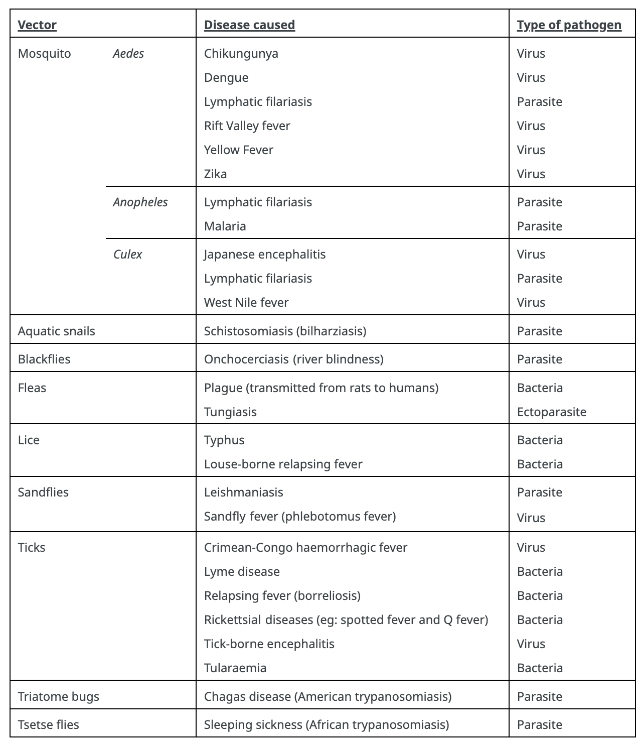 Vector-Borne Diseases | Genially