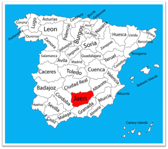 BASIC SHAPES PRESENTATION