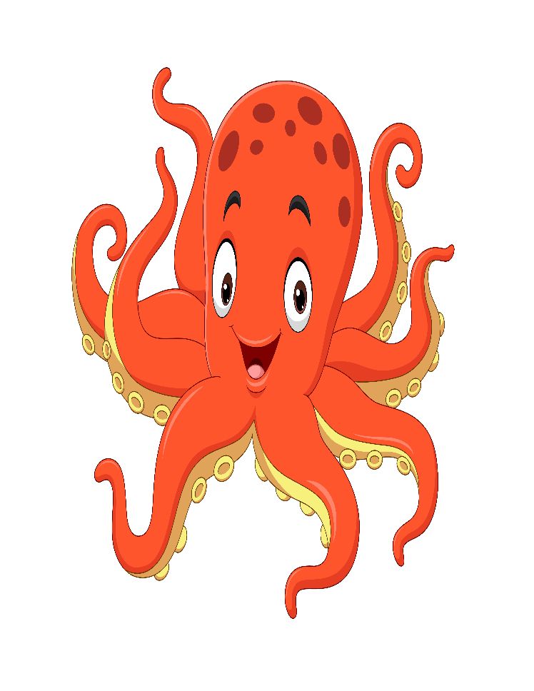 Find the Pair Ocean Animals | Genially