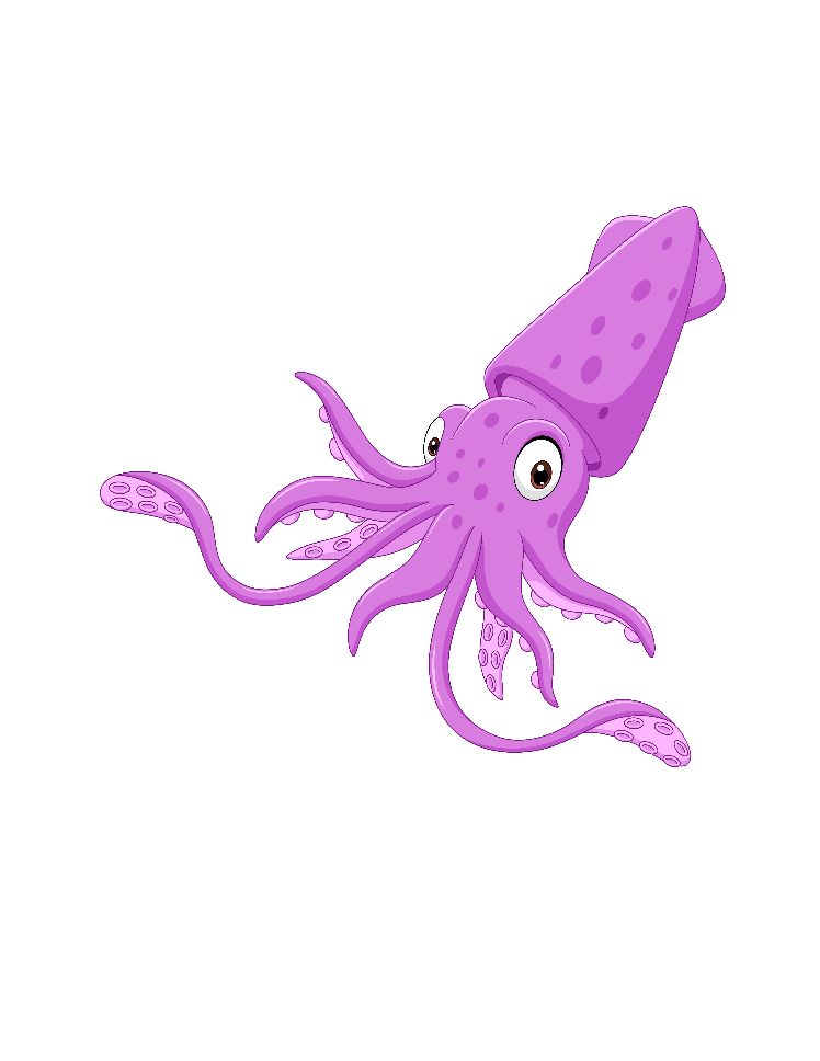 Find the Pair Ocean Animals | Genially