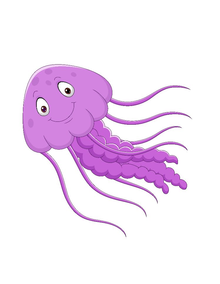 Find the Pair Ocean Animals | Genially
