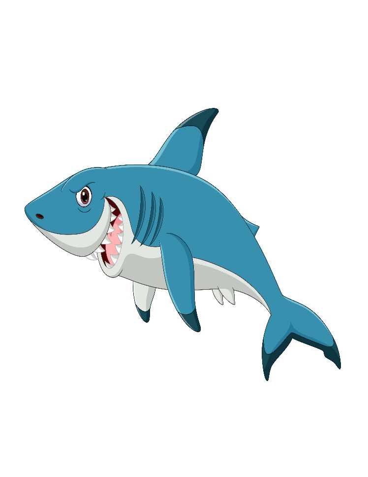 Find the Pair Ocean Animals | Genially