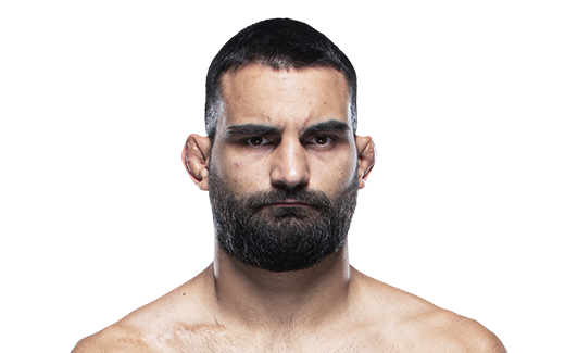 Exposé BSD MMA UFC | Genially