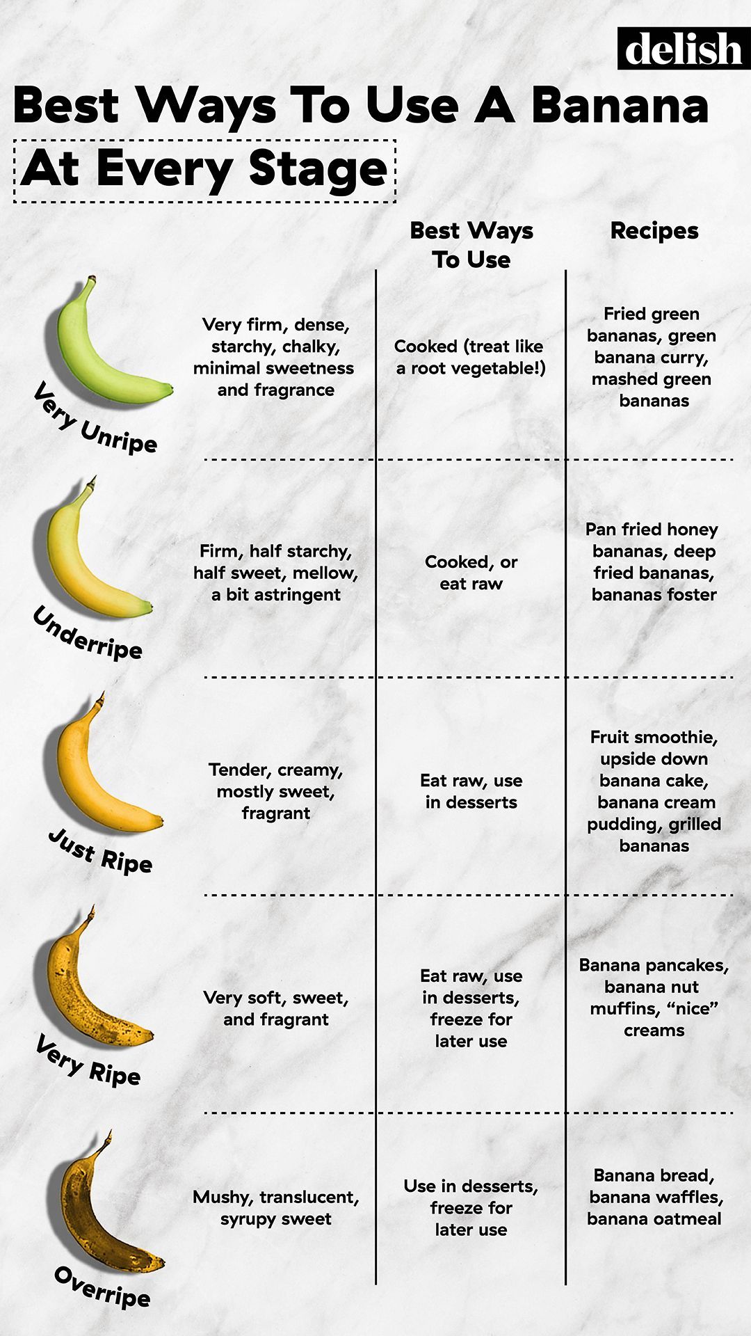 Essential Interactive Image about Bananas