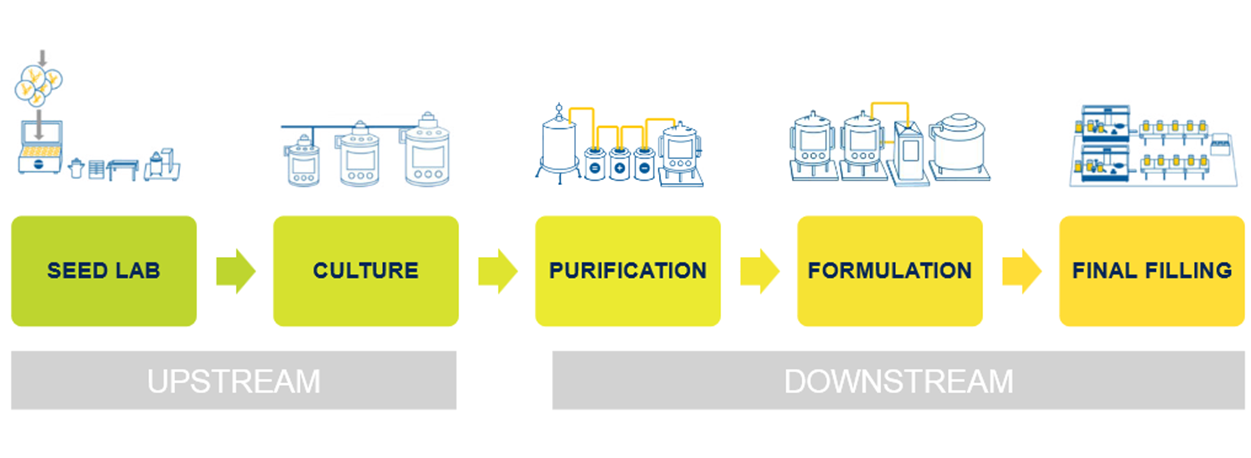 Bioproduction process